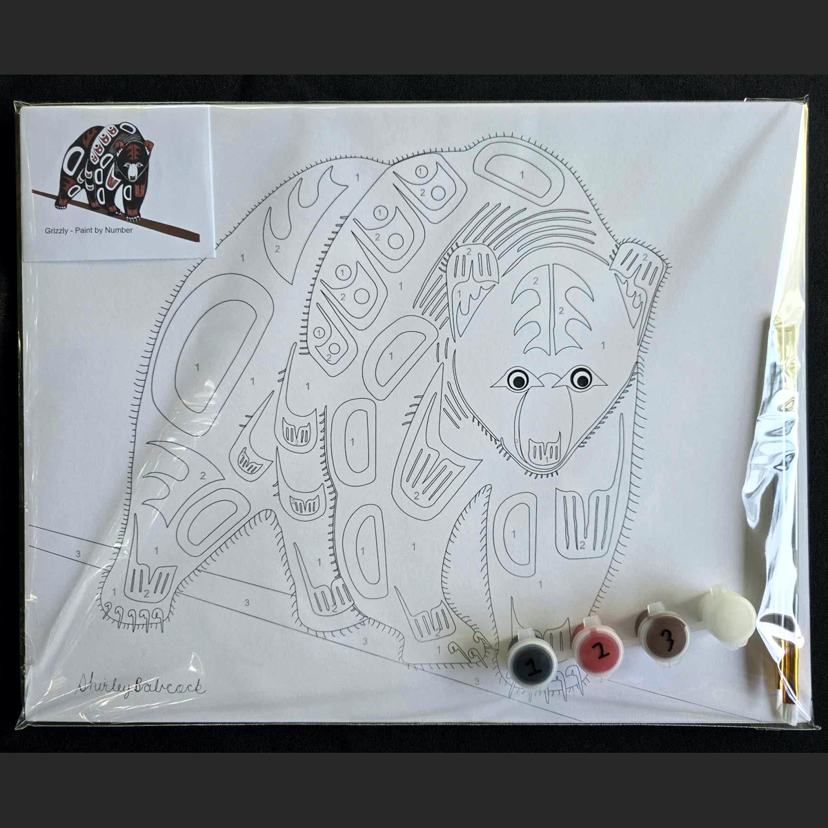 Paint By Number Kits – Shirley Babcock Indigenous Art